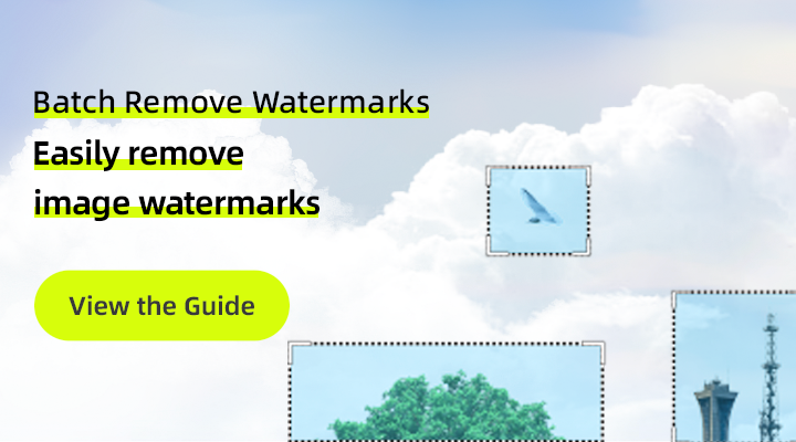 【Remove Watermark】Usage Guide | PicCopilot